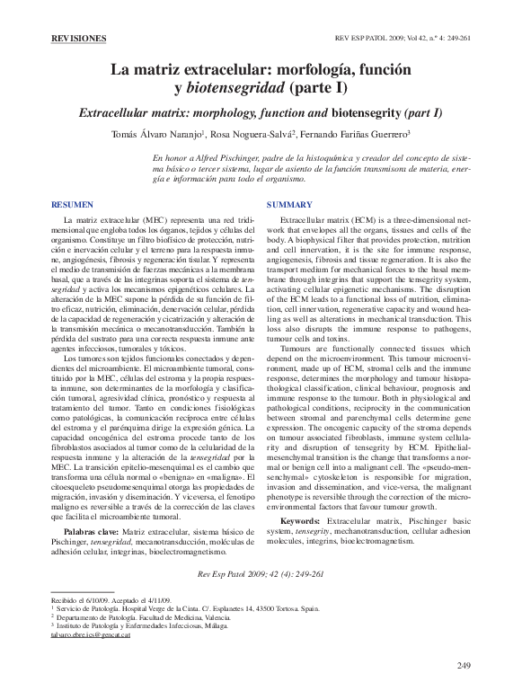 (PDF) La matriz extracelular: morfología, función y biotensegridad ...