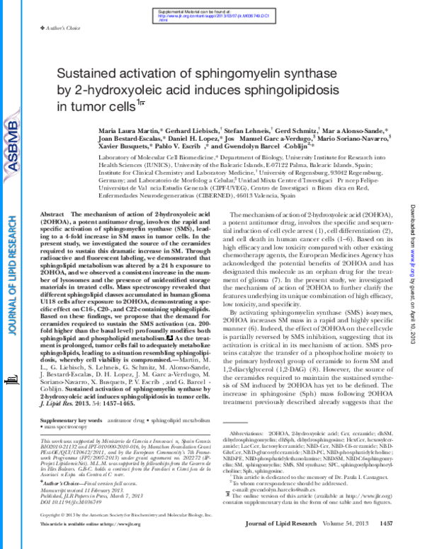 (PDF) Sustained activation of sphingomyelin synthase by 2-hydroxyoleic ...