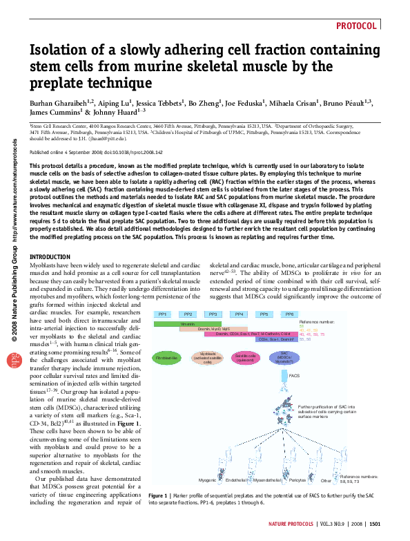(PDF) Isolation of a slowly adhering cell fraction containing stem ...