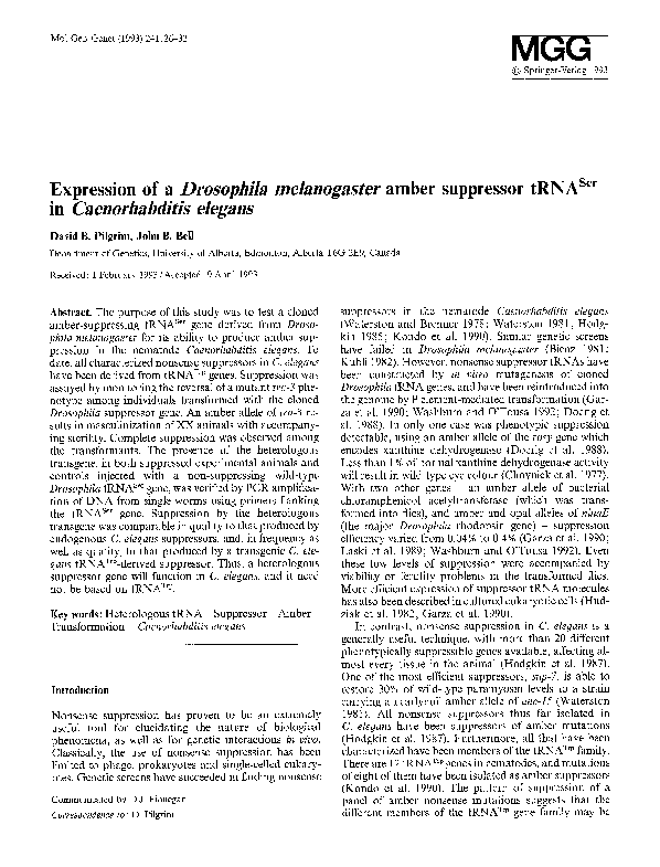 (PDF) Expression of a Drosophila melanogaster amber suppressor tRNASer ...