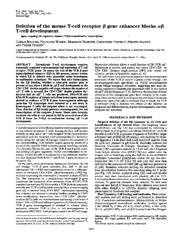(PDF) Deletion of the mouse T-cell receptor beta gene enhancer blocks ...
