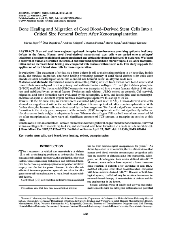 (PDF) Bone Healing and Migration of Cord Blood-Derived Stem Cells Into ...