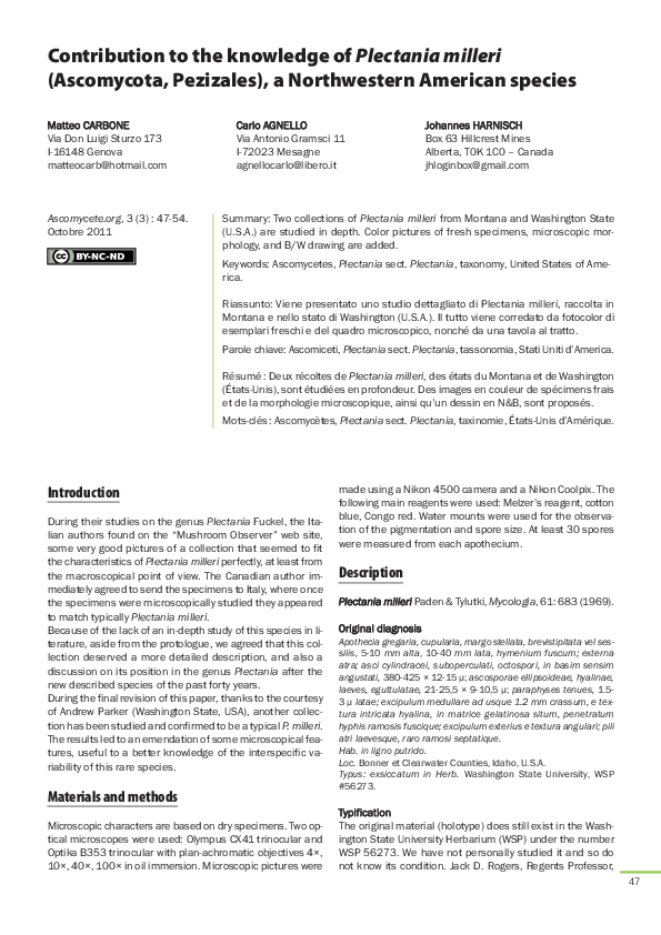 (PDF) Contribution to the knowledge of Plectania milleri (Ascomycota ...