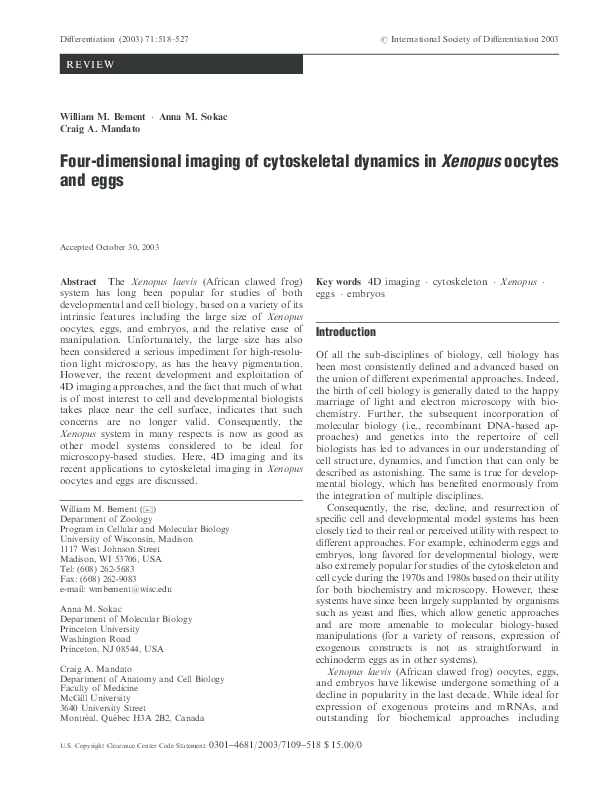 (PDF) Four-dimensional imaging of cytoskeletal dynamics in Xenopus ...
