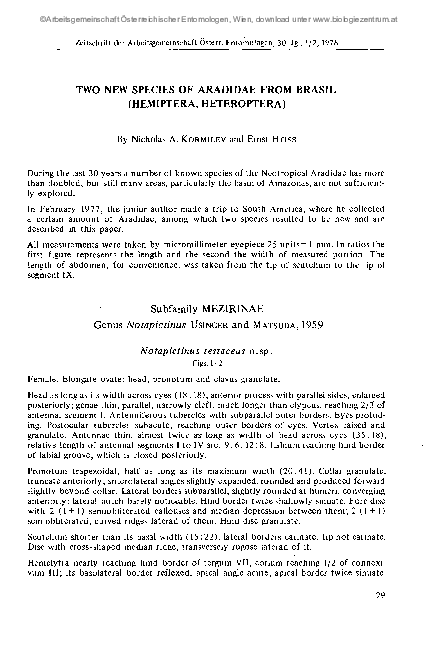 (PDF) TWO NEW SPECIES OF ARADIDAE FROM BRASIL (HEMIPTERA, HETEROPTERA)