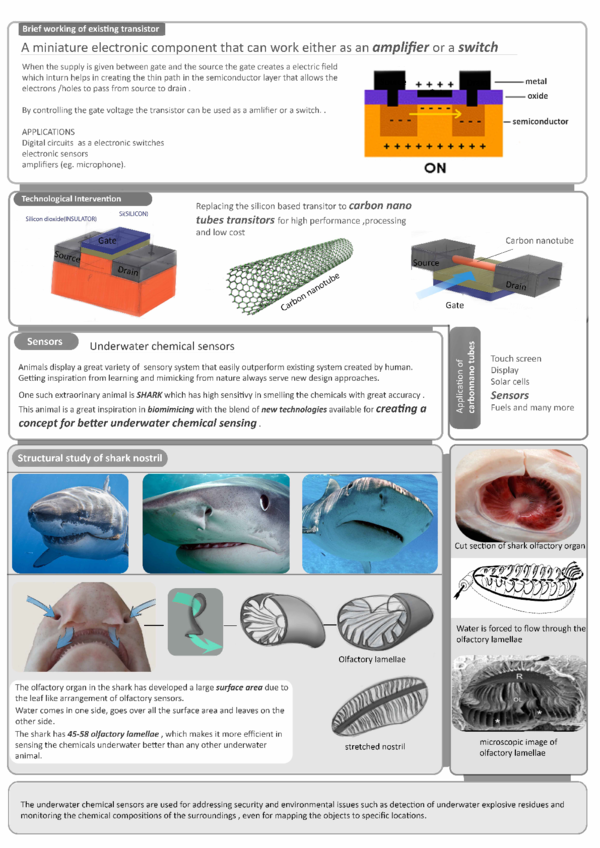 (PDF) biomimetic sensor poster