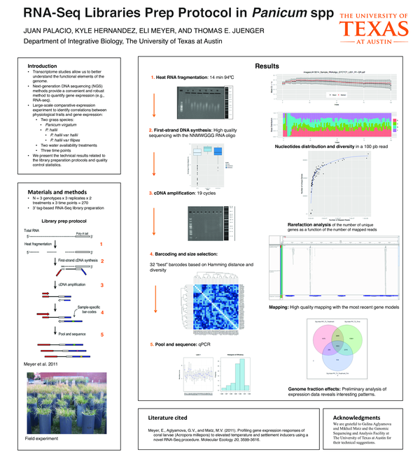 (PDF) RNA-Seq libraries prep protocol in Panicum spp
