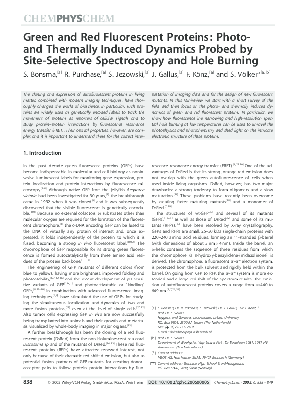 (PDF) Green and Red Fluorescent Proteins: Photo- and Thermally Induced ...