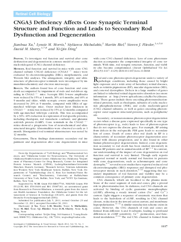(PDF) CNGA3 Deficiency Affects Cone Synaptic Terminal Structure and ...