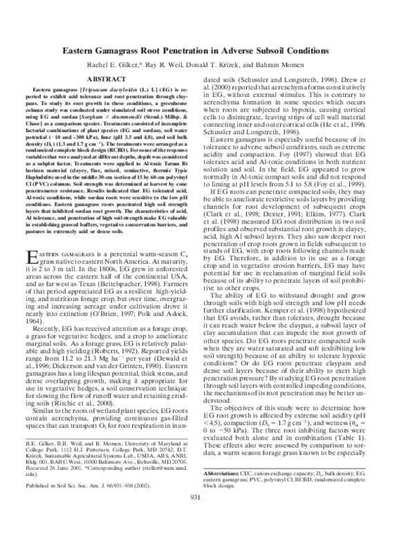 (PDF) Eastern Gamagrass Root Penetration in Adverse Subsoil Conditions ...