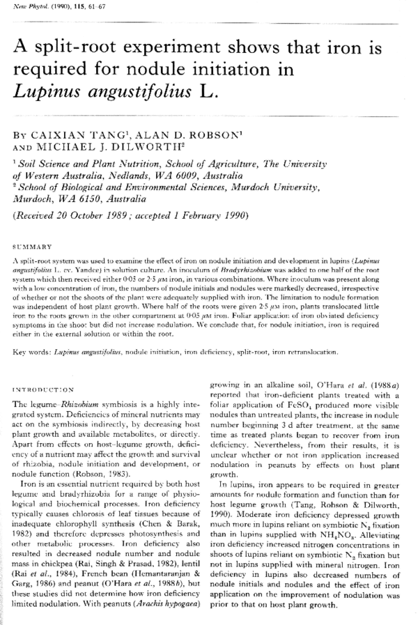 (PDF) A split-root experiment shows that iron is required for nodule ...