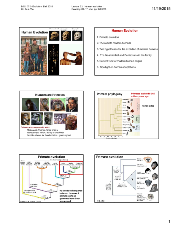 (PDF) Microsoft PowerPoint - Lect21_Humans [Compatibility Mode