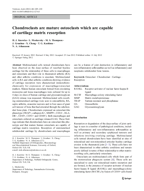 (PDF) Chondroclasts are mature osteoclasts which are capable of ...