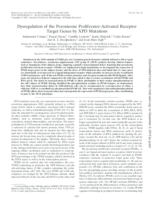 (PDF) Dysregulation of the Peroxisome Proliferator-Activated Receptor ...