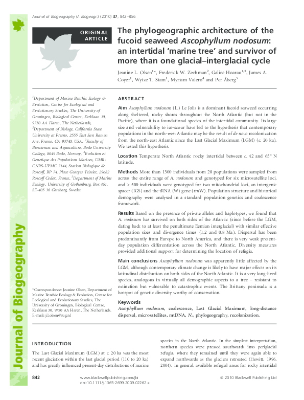 (PDF) The phylogeographic architecture of the fucoid seaweed ...
