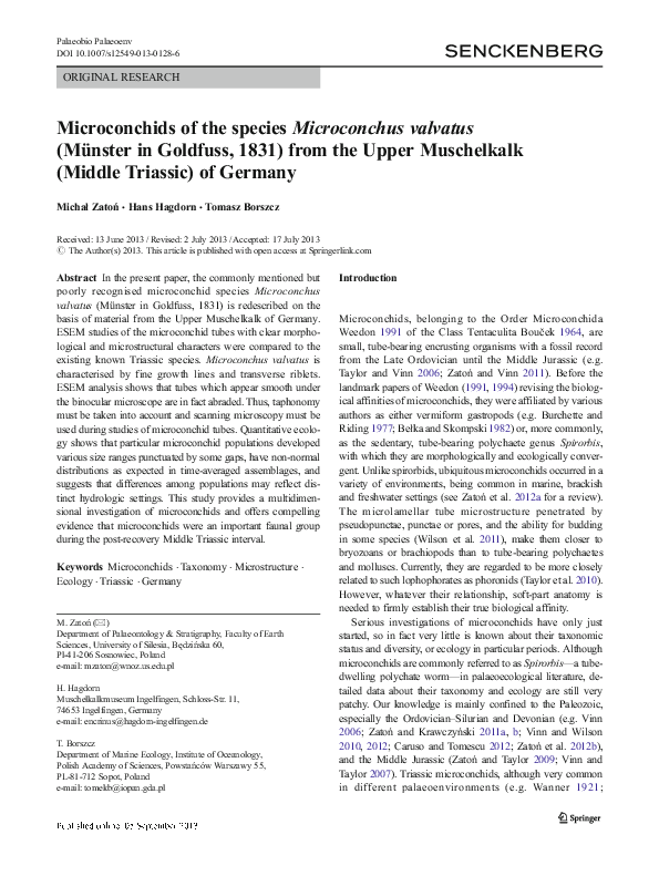 (PDF) Microconchids of the species Microconchus valvatus (Münster in ...