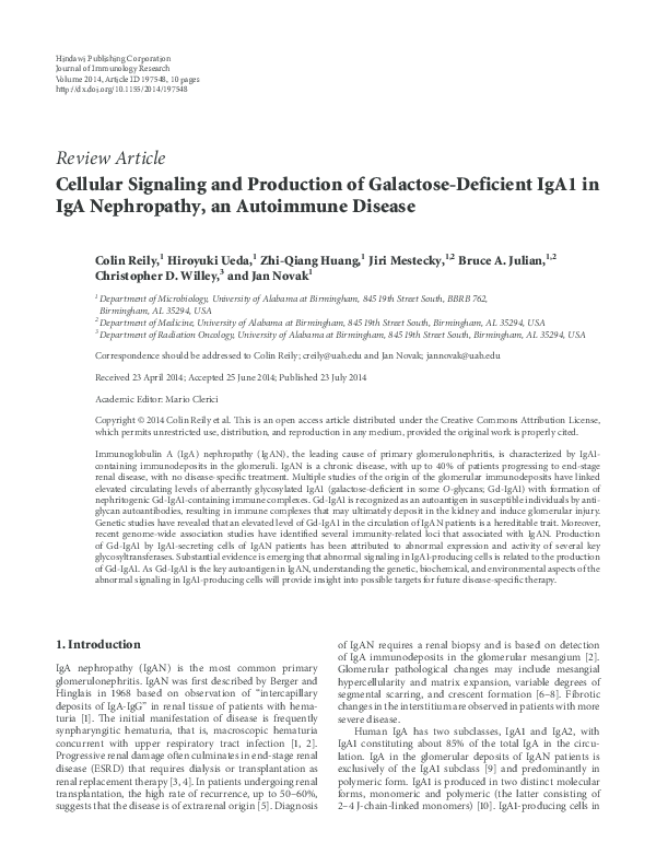 (PDF) Reily Cellular signaling STAT3 review | Colin Reily - Academia.edu
