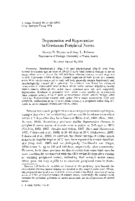 (PDF) Degeneration and regeneration in crustacean peripheral nerves