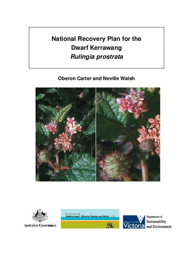 (PDF) National Recovery Plan for the Dwarf Kerrawang Rulingia prostrata