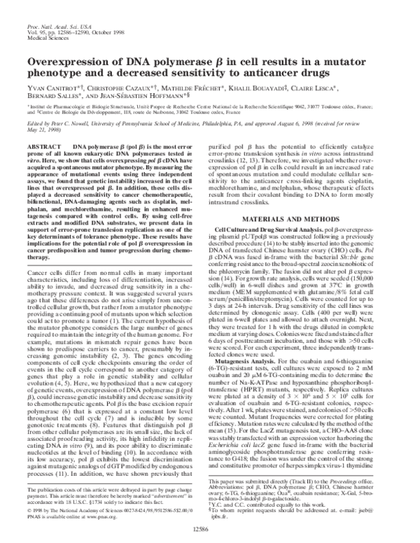 (PDF) DNA Polymerase Overexpression Drives Mutator Phenotype