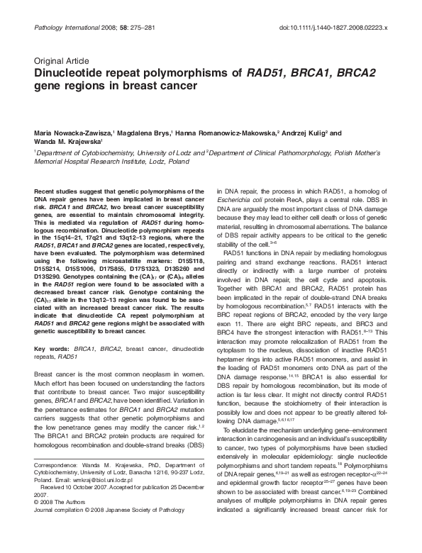 (PDF) Dinucleotide repeat polymorphisms of RAD51, BRCA1, BRCA2 gene regions in breast cancer