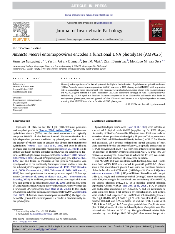 (PDF) Amsacta moorei entomopoxvirus encodes a functional DNA photolyase ...