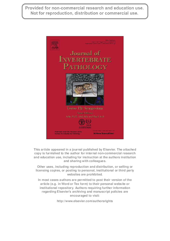 (PDF) Improving Sterile Insect Technique (SIT) for tsetse flies through ...