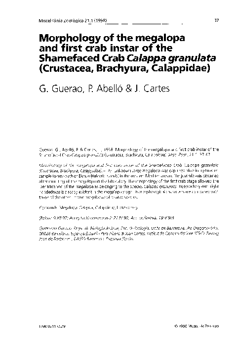 (PDF) Morphology of the megalopa and first crab instar of the ...