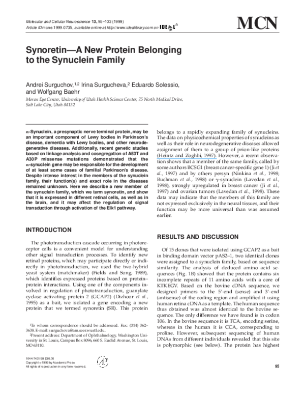 (PDF) Synoretin—A New Protein Belonging to the Synuclein Family