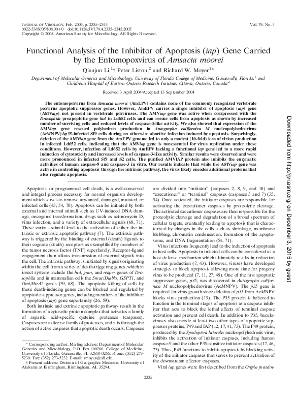 (PDF) Functional Analysis of the Inhibitor of Apoptosis (iap) Gene ...