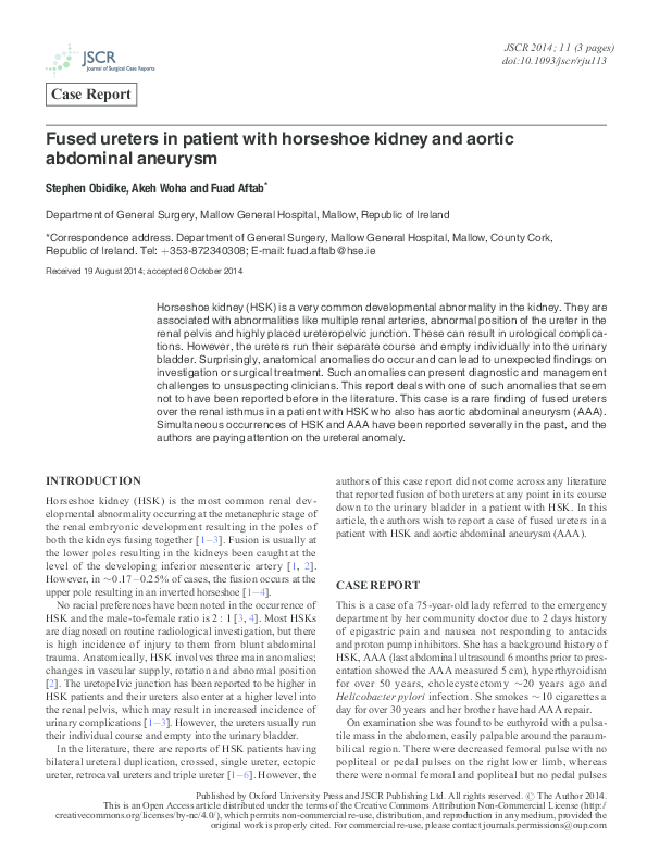 (PDF) Fused ureters in patient with horseshoe kidney and aortic ...