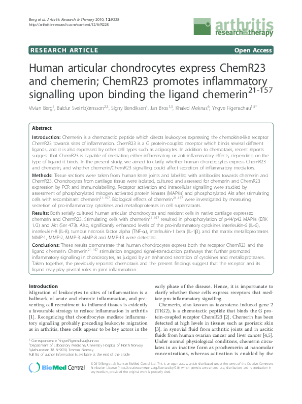 (PDF) Human articular chondrocytes express ChemR23 and chemerin ...