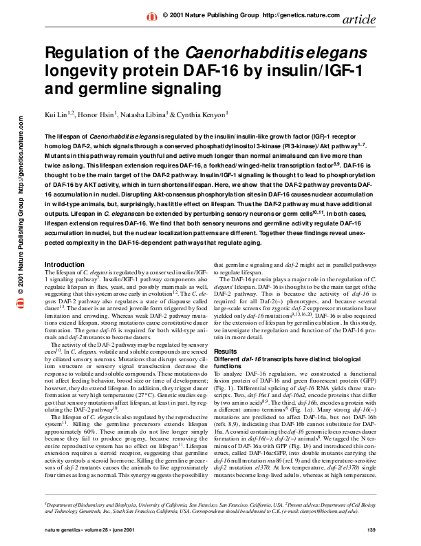 (PDF) Regulation of the Caenorhabditis elegans longevity protein DAF-16 ...