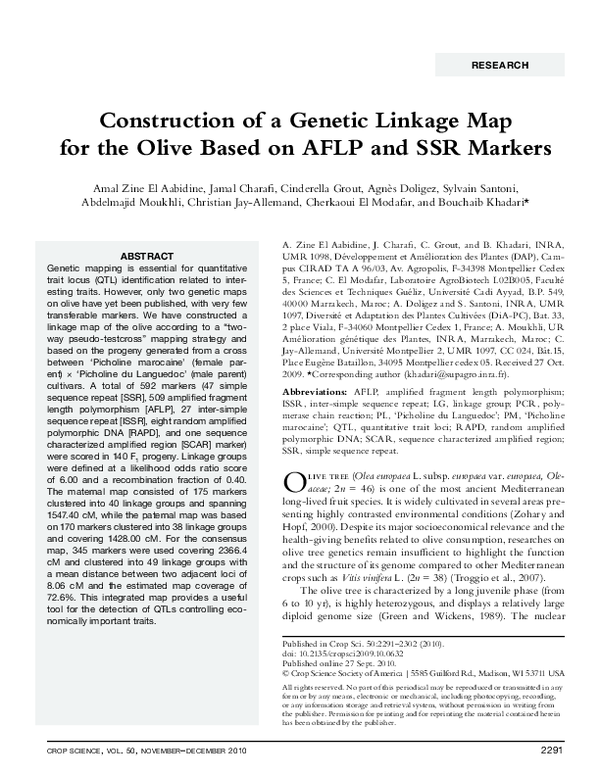 (PDF) Construction of a Genetic Linkage Map for the Olive Based on AFLP ...