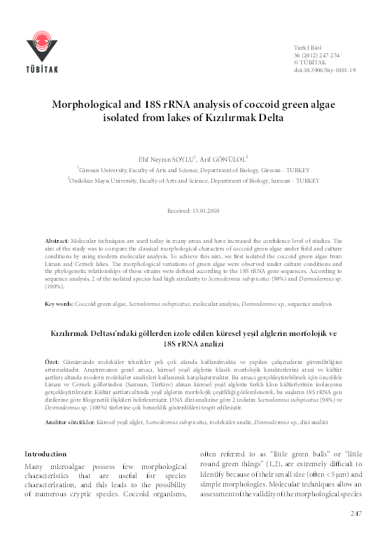 (PDF) Morphological and 18S rRNA analysis of coccoid green algae ...