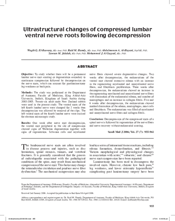 (PDF) Ultrastructural changes of compressed lumbar ventral nerve roots ...