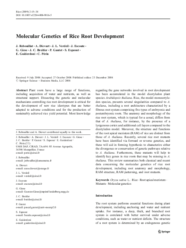 (PDF) Molecular Genetics of Rice Root Development