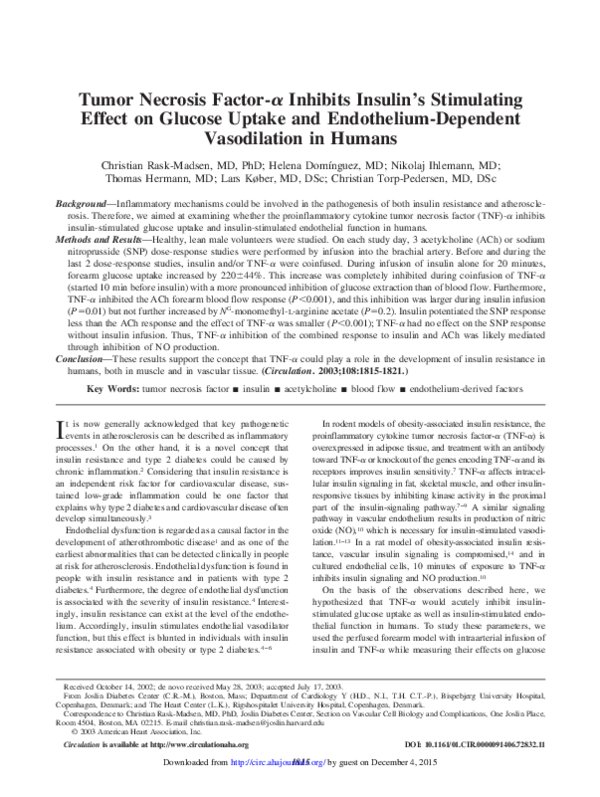 (PDF) Tumor Necrosis Factor- Inhibits Insulin's Stimulating Effect on ...