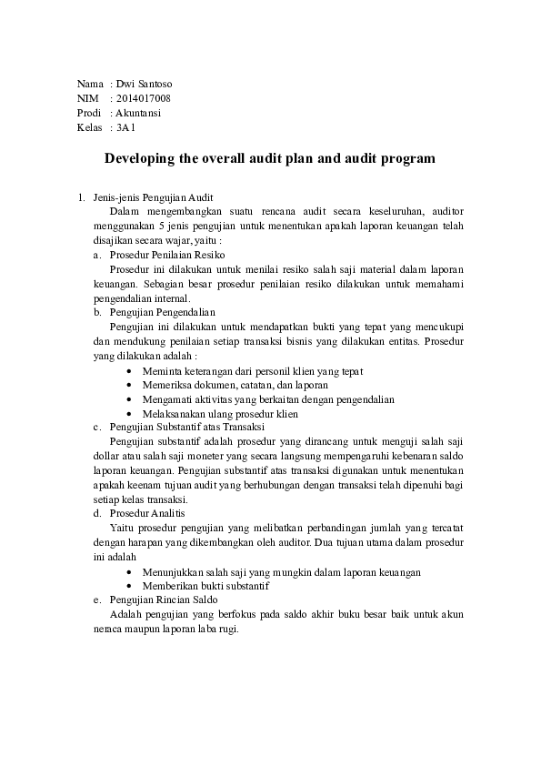 (DOC) Developing the overall audit plan and audit program