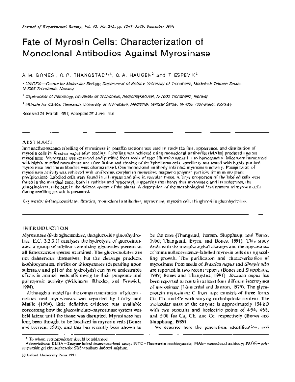 (PDF) Fate of Myrosin Cells: Characterization of Monoclonal Antibodies ...