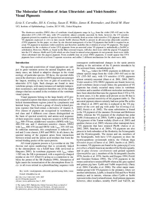The Molecular Evolution of Avian Ultraviolet- and Violet-Sensitive ...