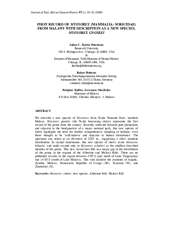 (PDF) First Record Of Myosorex (Mammalia: Soricidae) From Malawi With ...