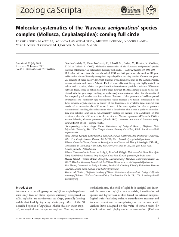 (PDF) Molecular systematics of the ‘Navanax aenigmaticus’ species complex (Mollusca ...