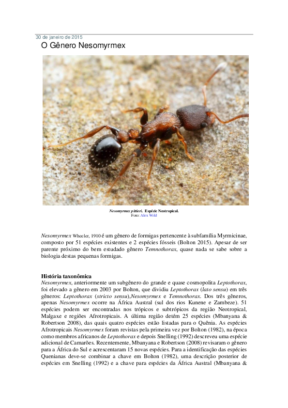 (PDF) Formigas do Brasil