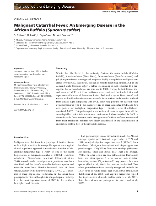 (PDF) Malignant Catarrhal Fever: An Emerging Disease in the African ...
