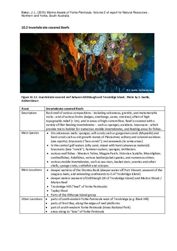 (PDF) Chapter 10.2 - Invertebrate-covered Reefs. In: Baker, J.L. (2015 ...