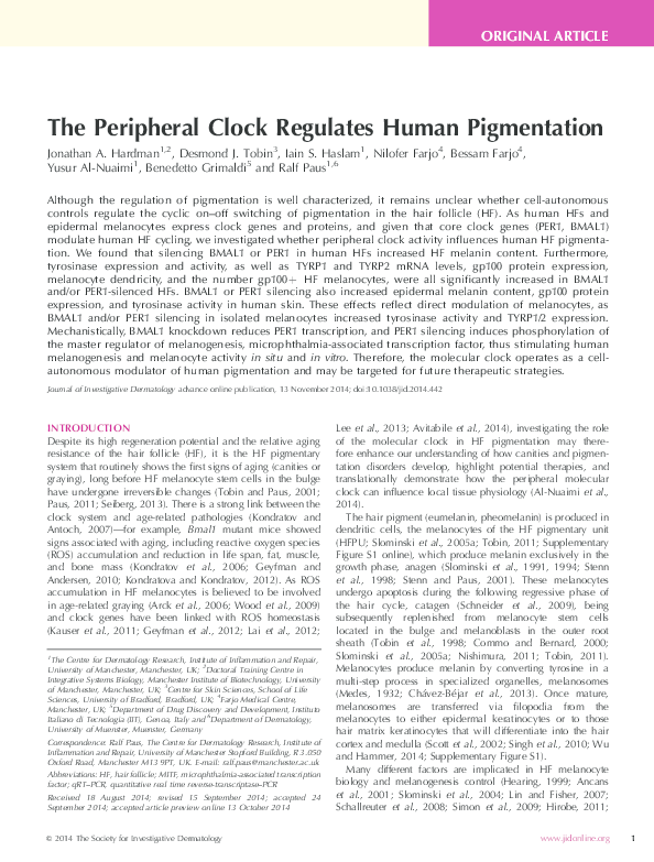 (PDF) A novel chronobiological control of pigmentation: Molecular clock ...
