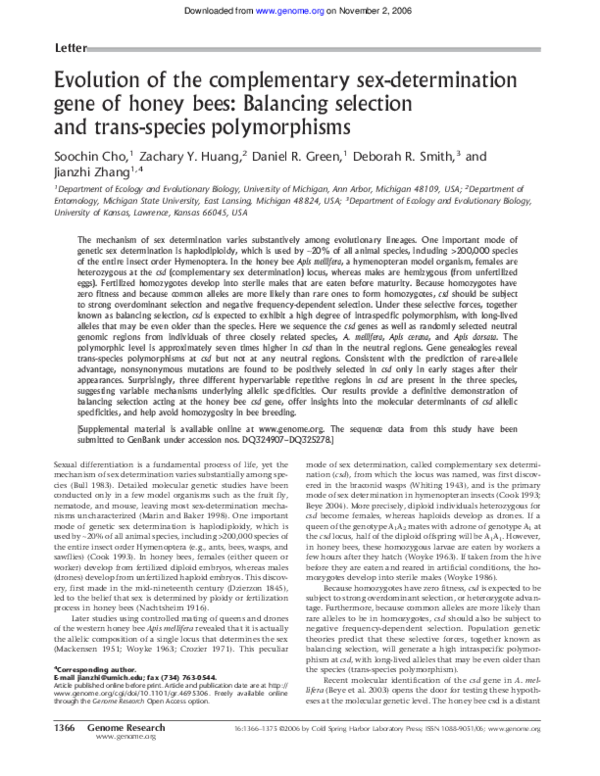 (PDF) Evolution of the complementary sex-determination gene of honey ...