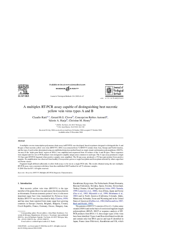 (PDF) A multiplex RT-PCR assay capable of distinguishing beet necrotic ... (PDF) A multiplex RT-PCR assay capable of distinguishing beet necrotic ...