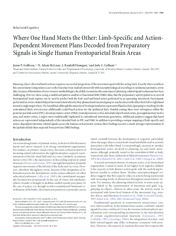 (PDF) Where One Hand Meets the Other: Limb-Specific and Action-Dependent Movement Plans Decoded ...
